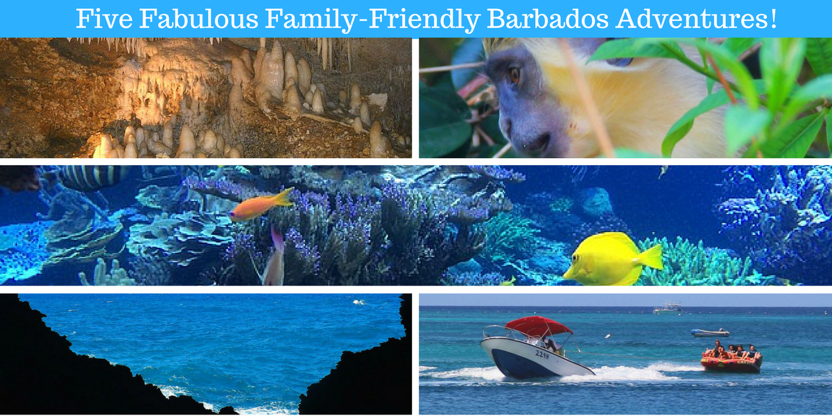5 Family-Friendly Barbados Adventures - Barbados.org BlogBarbados.org Blog