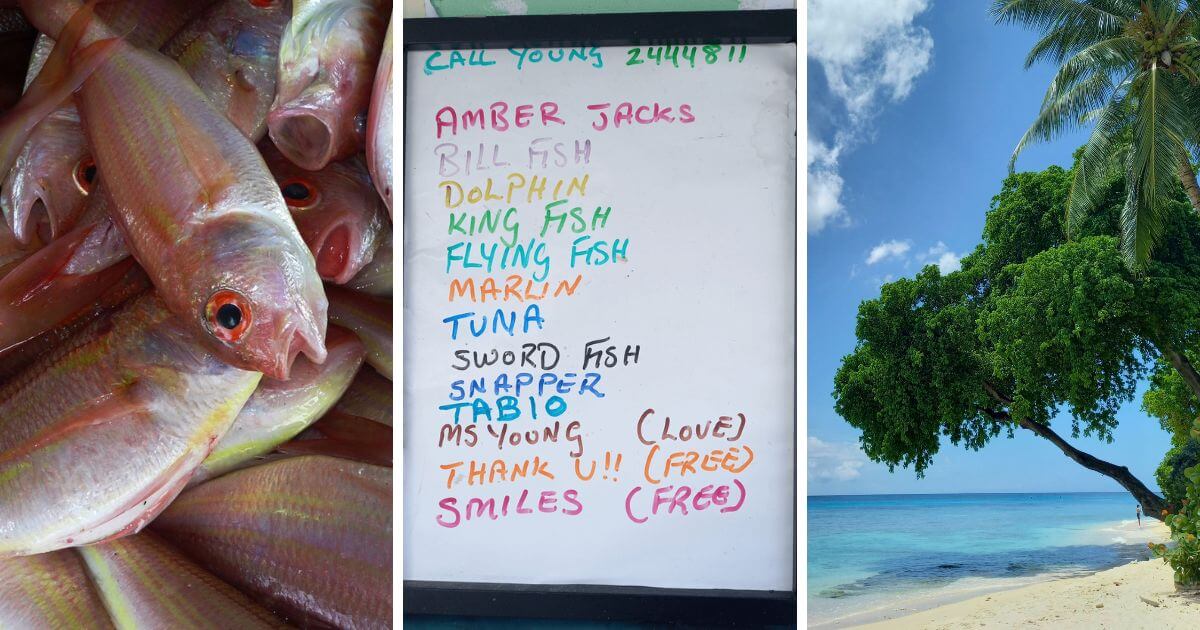 Finding Fresh Fish and Smiles in Barbados - Barbados.org BlogBarbados ...