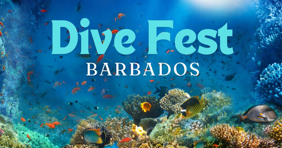 Dive Fest Barbados: Discover Our Underwater World