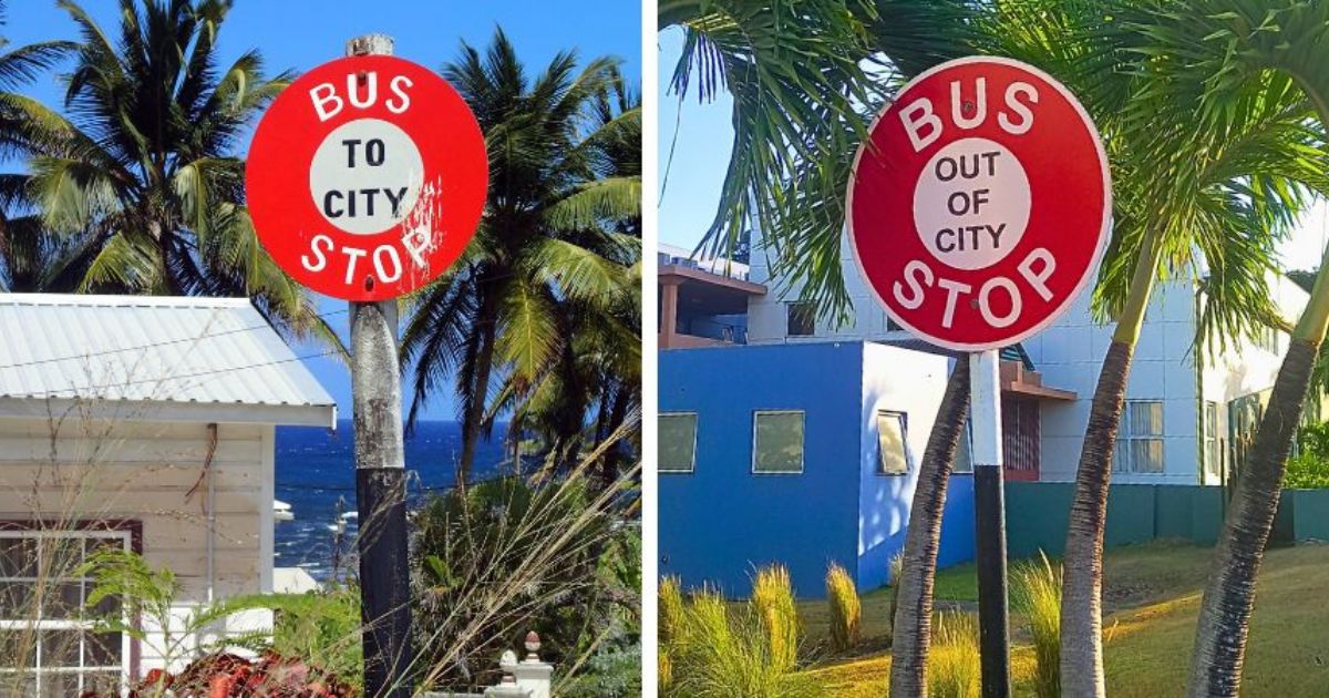 Bajan Bus Stops: Icons of Island Identity
