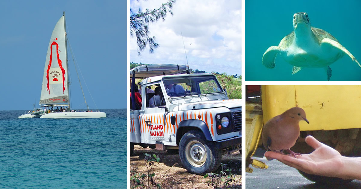 Barbados Adventure Tours and Activities