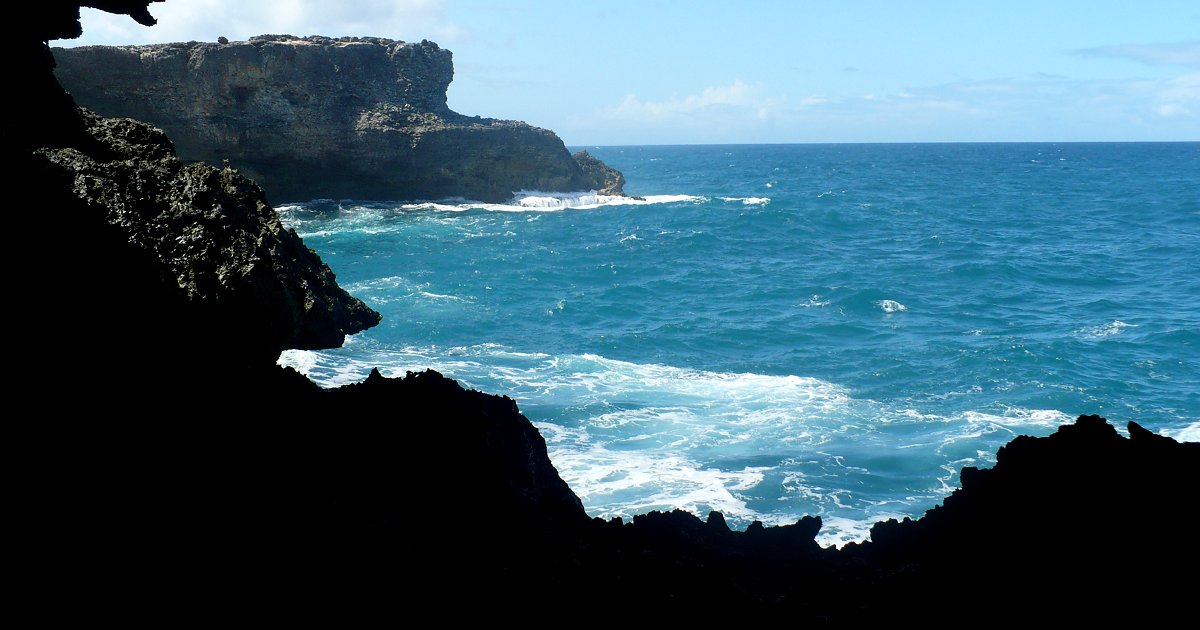 Barbados Sightseeing - Animal Flower Cave