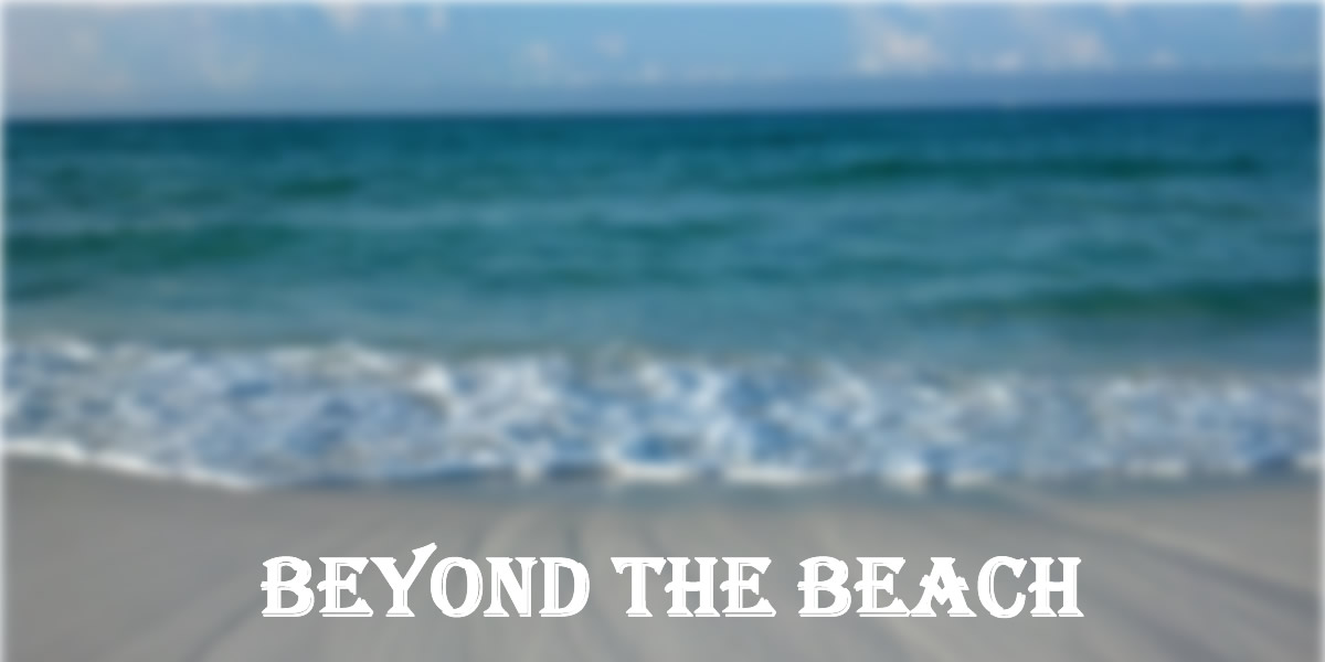 Barbados Beyond The Beach