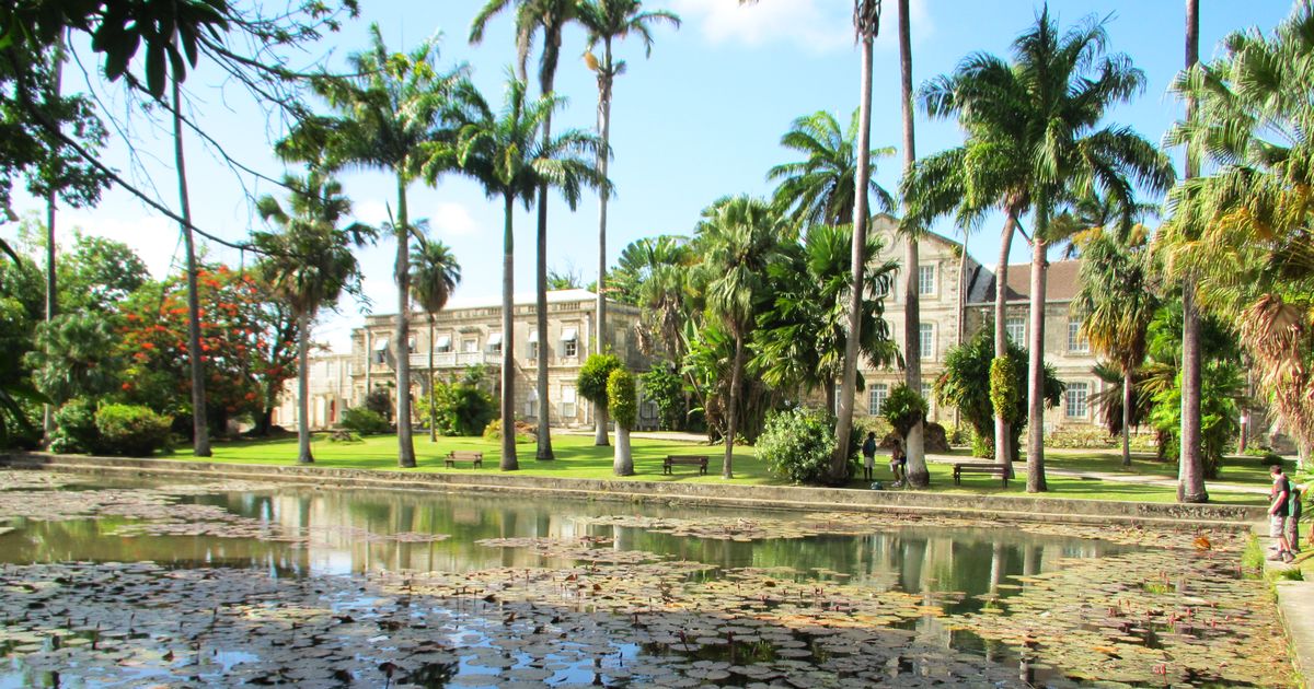 Codrington College, Barbados: A Serene Escape with Breathtaking Views