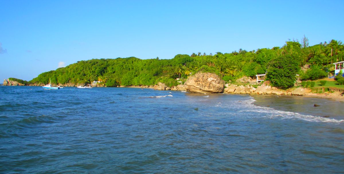 Barbados Natural Attractions and Eco Guide