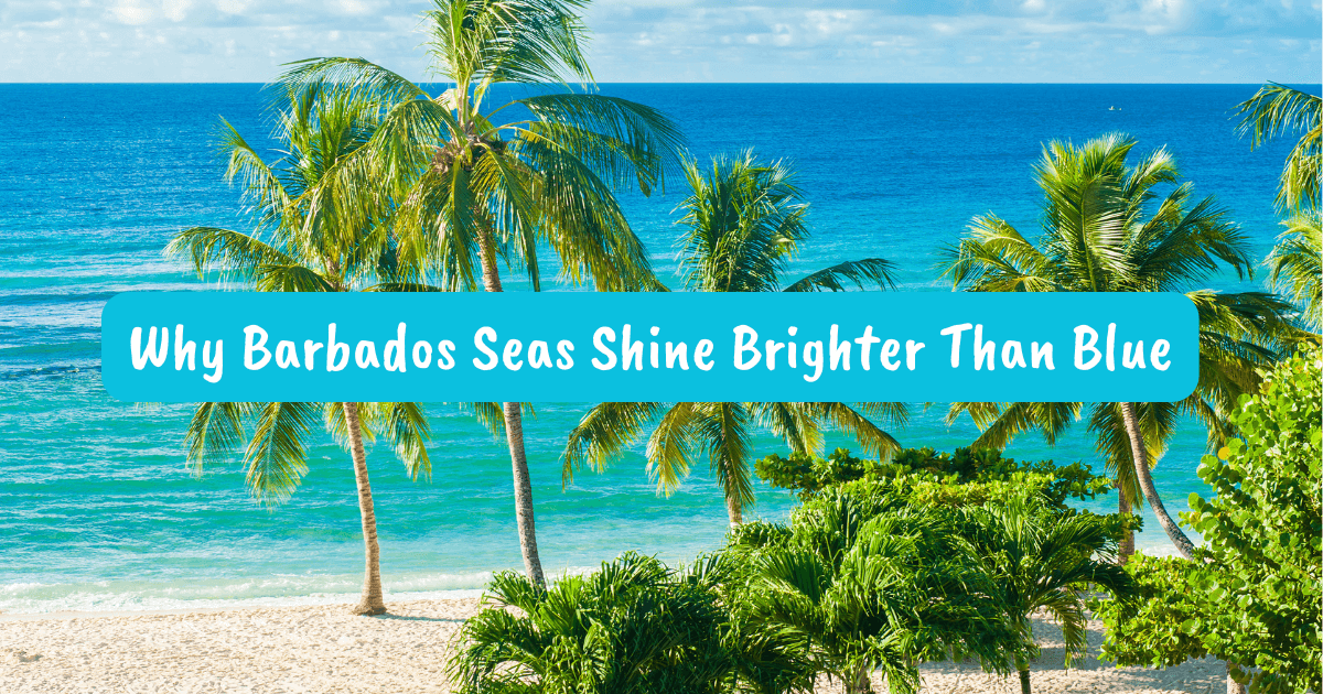 Why Barbados' Seas Shine Brighter Than Blue
