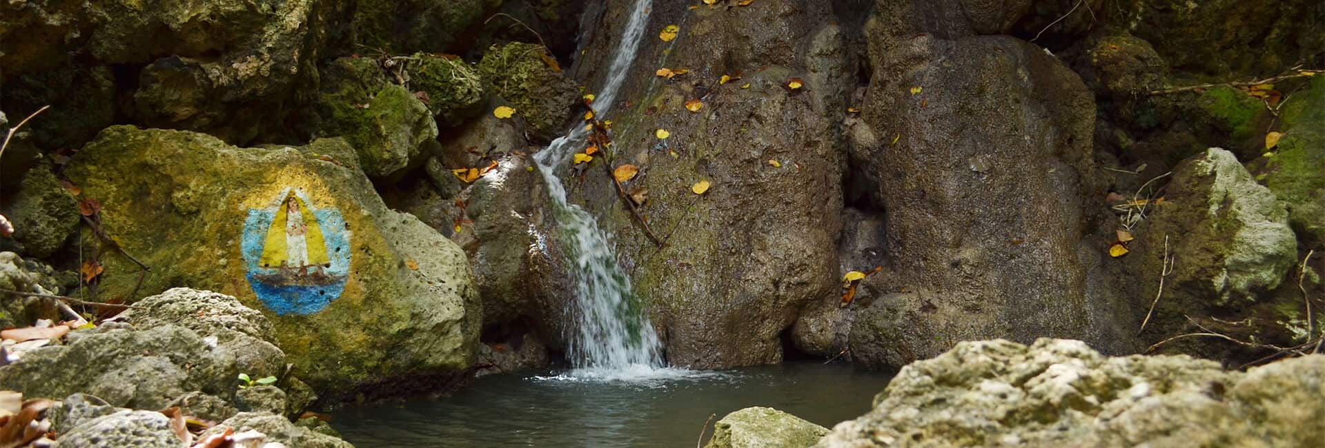 Barbados Natural Attractions: Gardens, Caves, Beaches and More